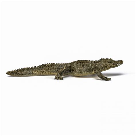 Aligator Pionki Kauflandpl
