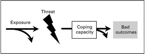 A Framework For Understanding Old Age Vulnerabilities Pmc