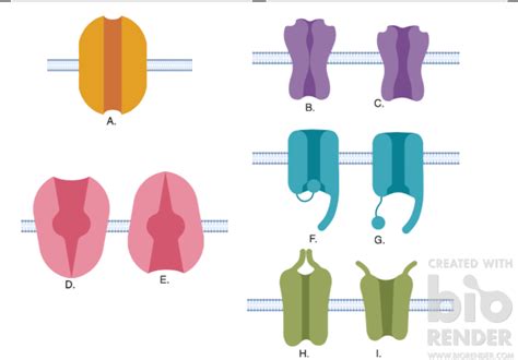 Phys Exam 1 Diagram Quizlet