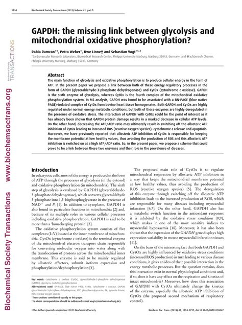 Pdf Gapdh The Missing Link Between Glycolysis And Mitochondrial
