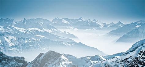 Digital Analytics Consulting By Certified Analysts