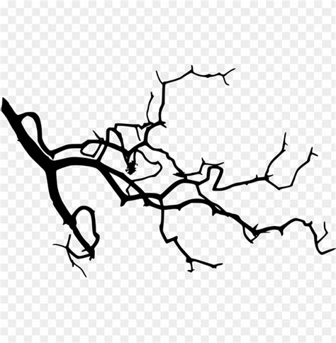 Tree Branch Silhouette Png
