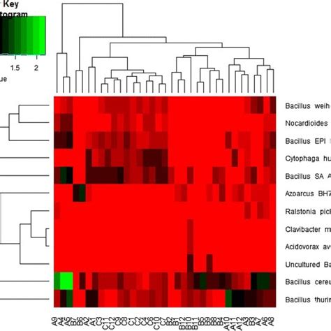 Microbial Distribution Of Different Communities From Samples In The Download Scientific Diagram