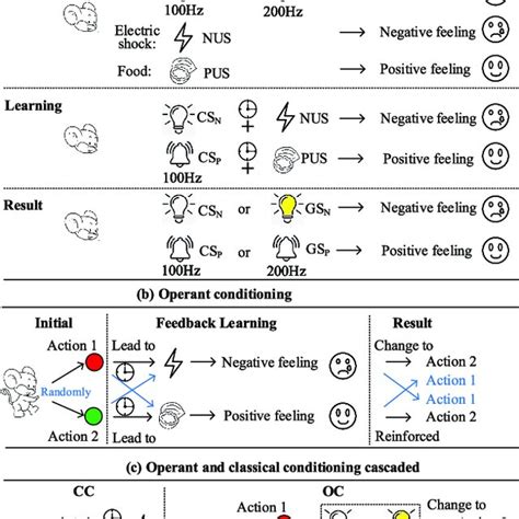 The Complete Circuit Of The Oc Cc Cascaded Associative Memory Except Download Scientific