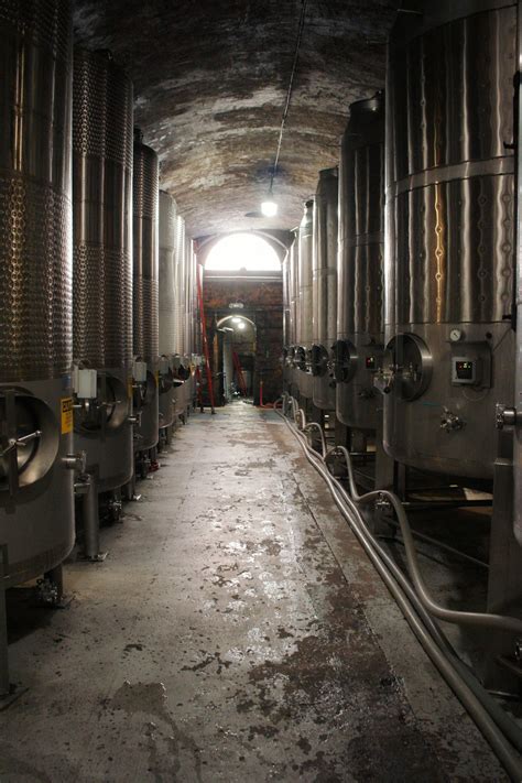 Can Precision Fermentation Together With Synthetic Biology Help To