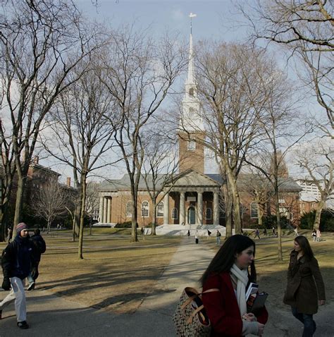 Cooper Lund Profile And Activity Vox