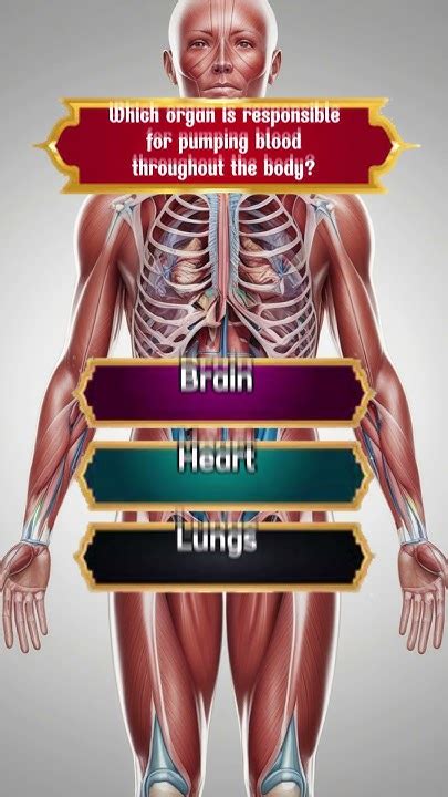 quiz shortvideo quiz youtube