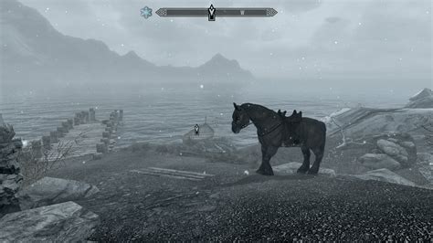 I Appreciate Shadowmere Coming With Me But Where Does He Think Hes