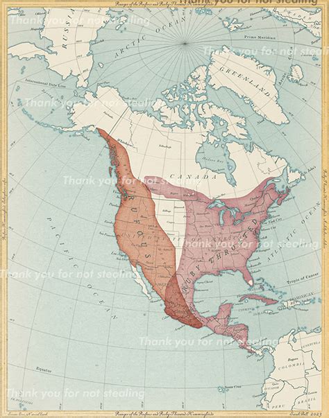 Hummingbird Range Map North America Behance