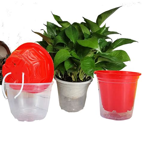 绿萝懒人花盆自吸水塑料透明吊兰盆栽植物水培储水盆双层免浇水虎窝淘