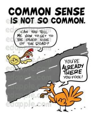 Common Sense Funny Quotes Quotesgram