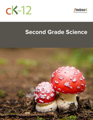 Ck 12 Second Grade Science Ck 12 Foundation Worksheets Library