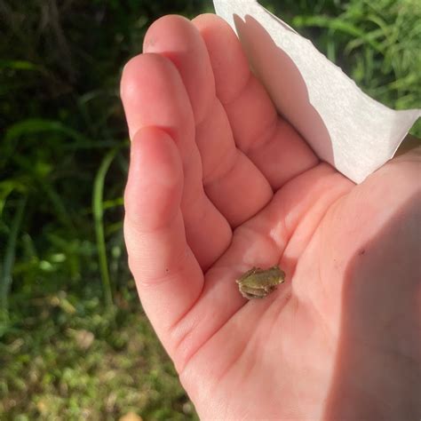 Trystin Jean Youtube