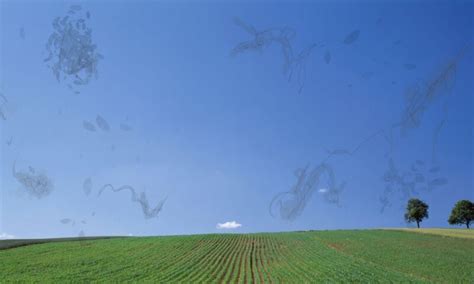 Eye Disorders Diagnosis And Treatment Focus Eye Clinic