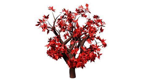 Red Mapple Tree 3d Model Turbosquid 2072798