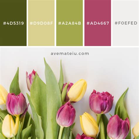 Tulip Colour Combinations