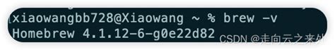 Mac Vue Mac Vue Csdn