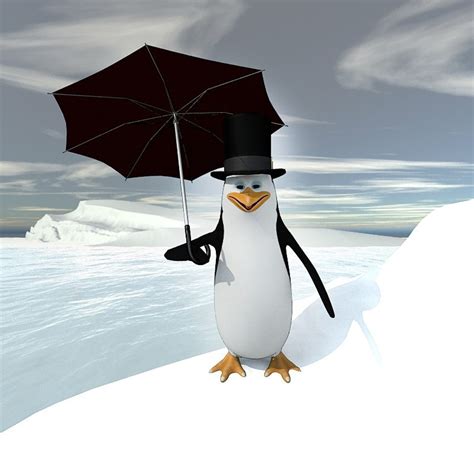 3d Pinguin Chiko Model