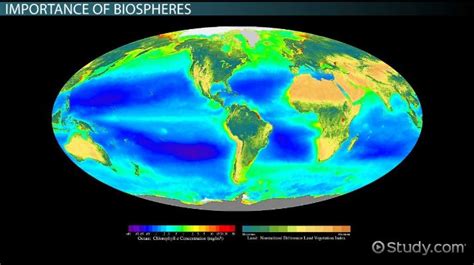 Earths Biosphere Diagram
