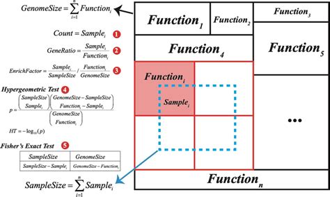 The Main Computational Approaches Applied For Enrichment Calculation In