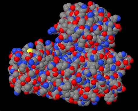 Human Phosphoglucomutase 3 Protein Molstruc