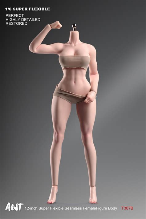 Ant T307 1 6th Female Fitness Model Action Figure Body 12in Muscle Bust