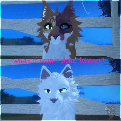 Tv Girl 💙🩷 Ft Brightheart And Cloudtail Youtube