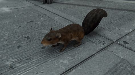 Squirrel R Spidermanps4