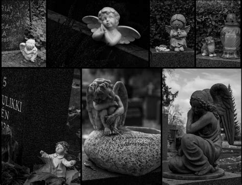 Small Wings Frans Goes Blog