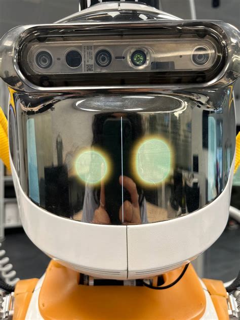 New Expressions Issue Icub Tech Iit Ergocub Software GitHub