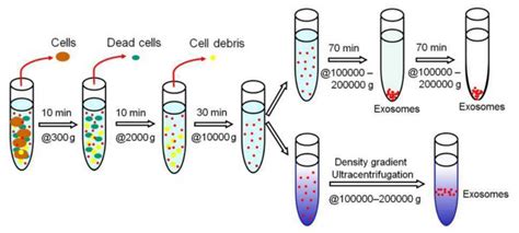 【设备介绍】himac超高速离心机科普之窗山东内分泌与代谢病医院