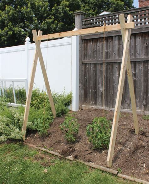 Diy Tomato String Trellis For Your Best Tomatoes