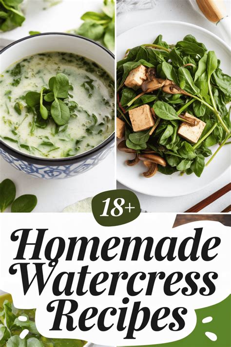 9 Delicious Watercress Recipes That Will Freshen Up Your Meals Today