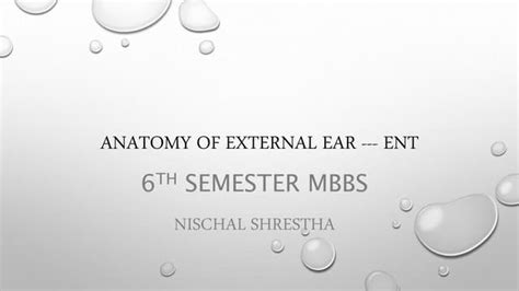 Anatomy Of External Ear Ppt