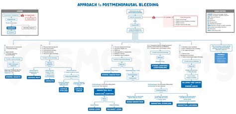 Menopause Bleeding Causes At Jesse Richardson Blog
