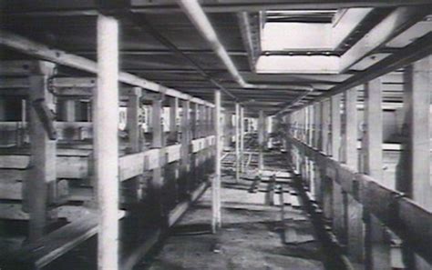 The History Ss Naronic