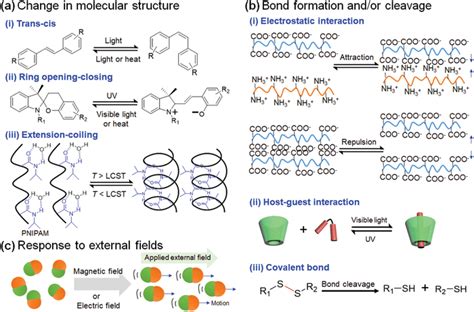 Stimuli‐responsive Moleculesparticles After Detecting An External Download Scientific Diagram