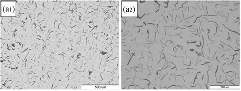 Effect Of Inoculation Treatment On Microstructure Of Experimental Gray Cast Iron Zhy Casting
