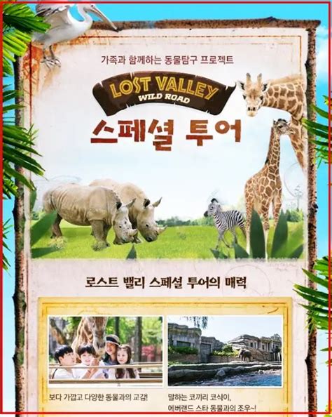 에버랜드 사파리 스페셜 투어 예약 방법 1분 정리 나이트 사파리 트램