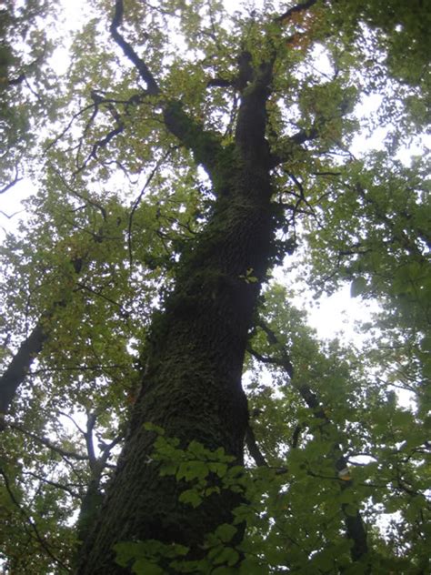 Medvednica Slap Sopot Risnjak Graficar Sljeme