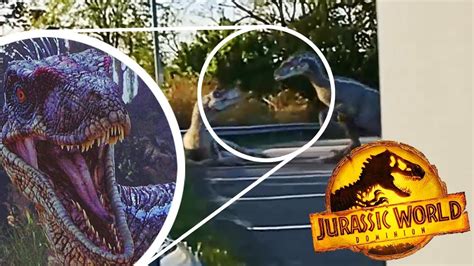 Sorna Raptors Are Back New Dinosaur Sightings Jurassic World Dominion