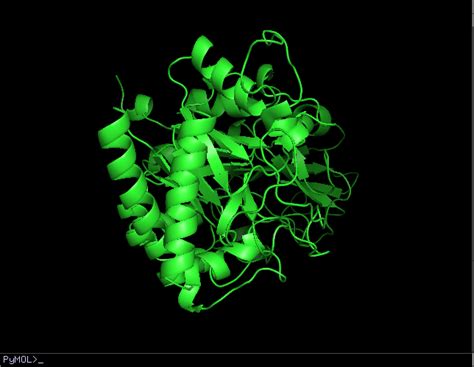 Windows Version Of Pymol Open Source Has Almost Invisible Structures On Initialization · Issue