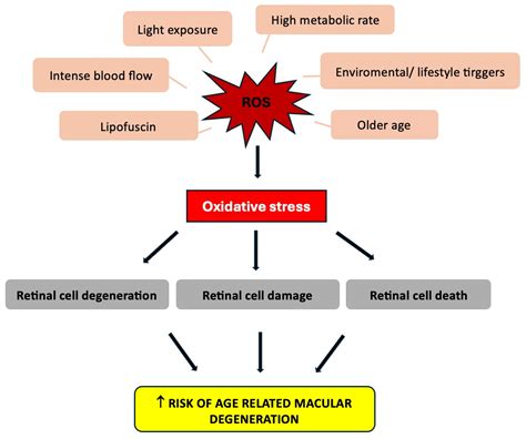 The Role Of Oral Supplementation For The Management Of Age Related