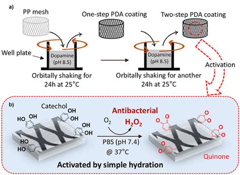 Schematic Illustration Of A Catechol Based Polydopamine Pda Coating