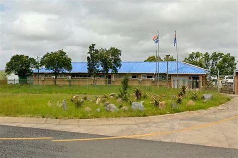 South African First Time Sex Seal Open Sex Pictures Pass