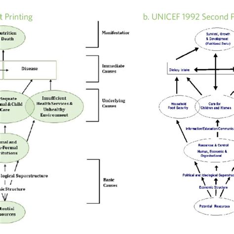 Unicef Conceptual Framework Causes Of Malnutrition And Death 19