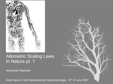 Allometric Scaling Laws In Nature Pt