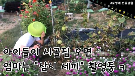 🏡엄마는 삼시 세끼 촬영중 ㅋㅣ아이들이 시골집 오면ㅣ시골생활 시골일상 브이로그ㅣ60대부부 시골일상ㅣ전원생활 Korea