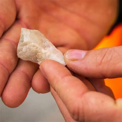 Beginners Guide To Meteorite Collection Recommended Specimens