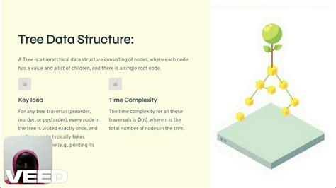 Data Structure And Algorithem Youtube